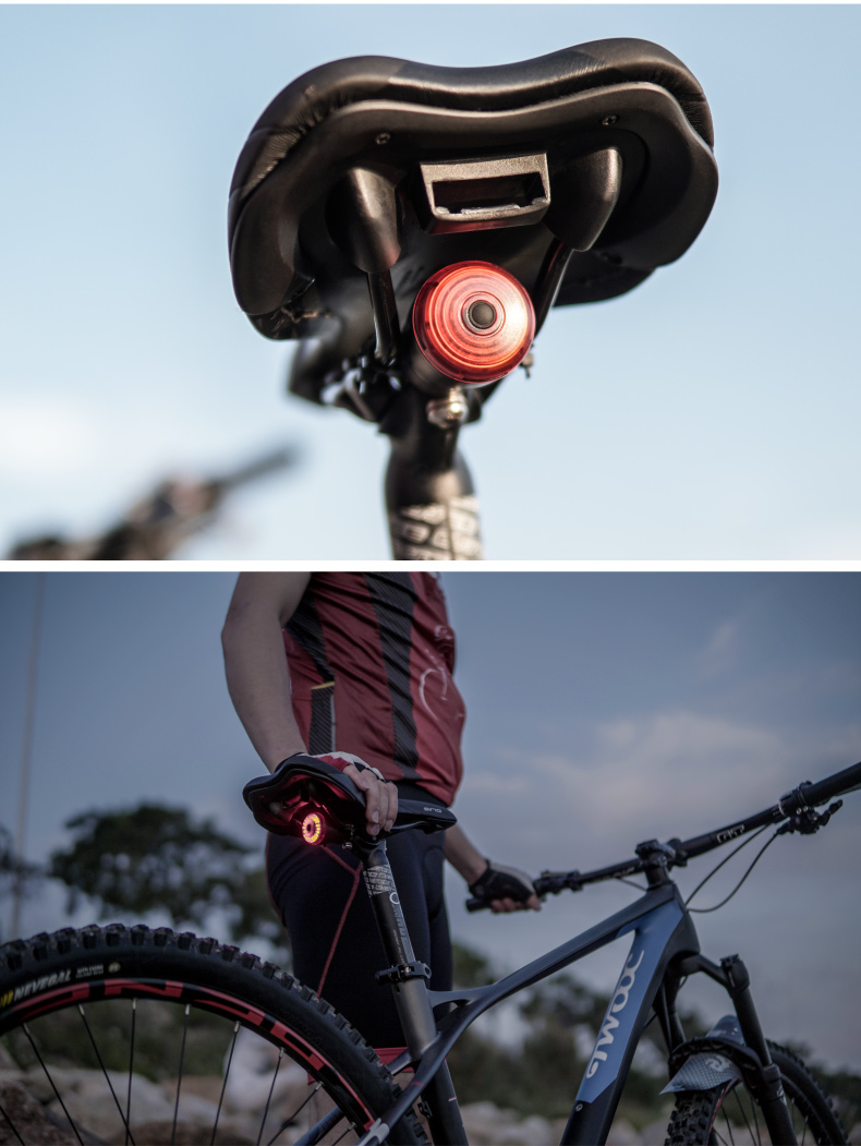 WT003尾灯-Wind&Moon-深圳市瓦特技术智造有限公司