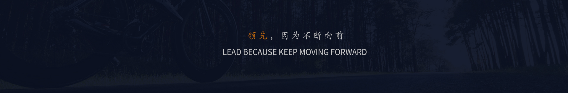 WT003尾灯-Wind&Moon-深圳市瓦特技术智造有限公司